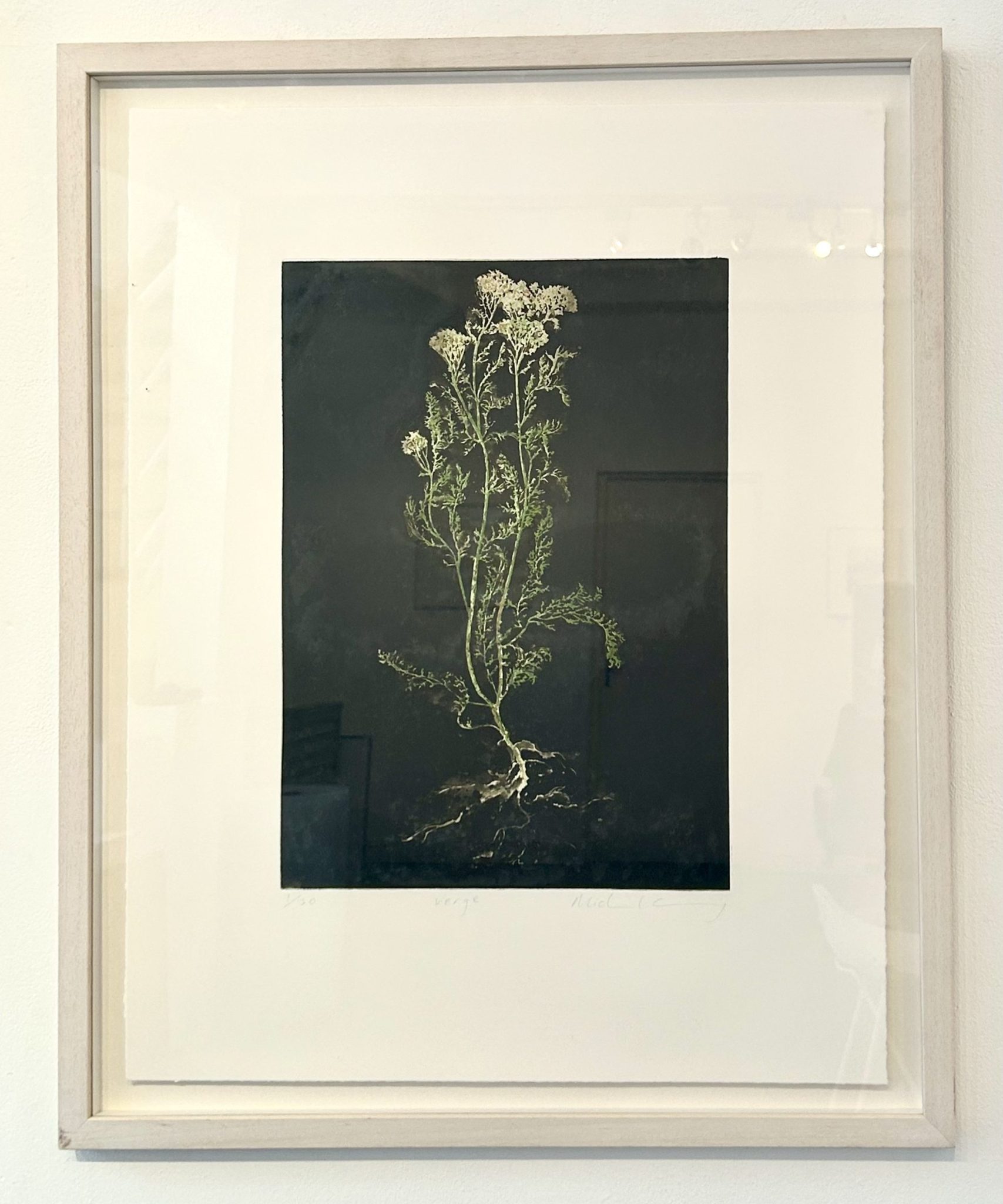 Canning, Michael – Graphic Studio Gallery