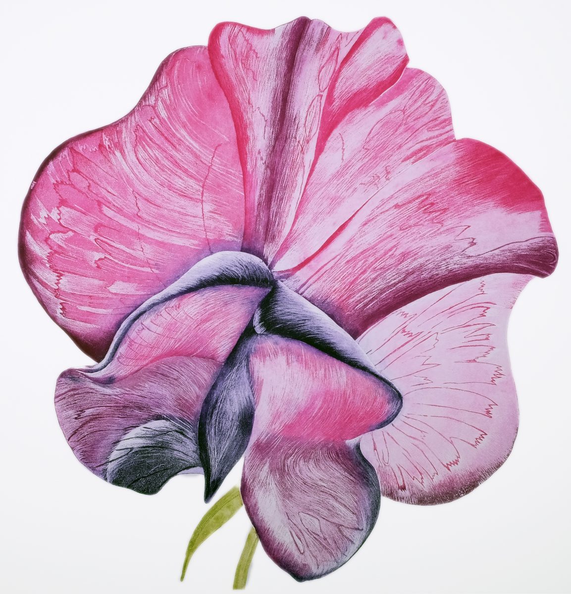 Cuffe, Grainne – Graphic Studio Gallery