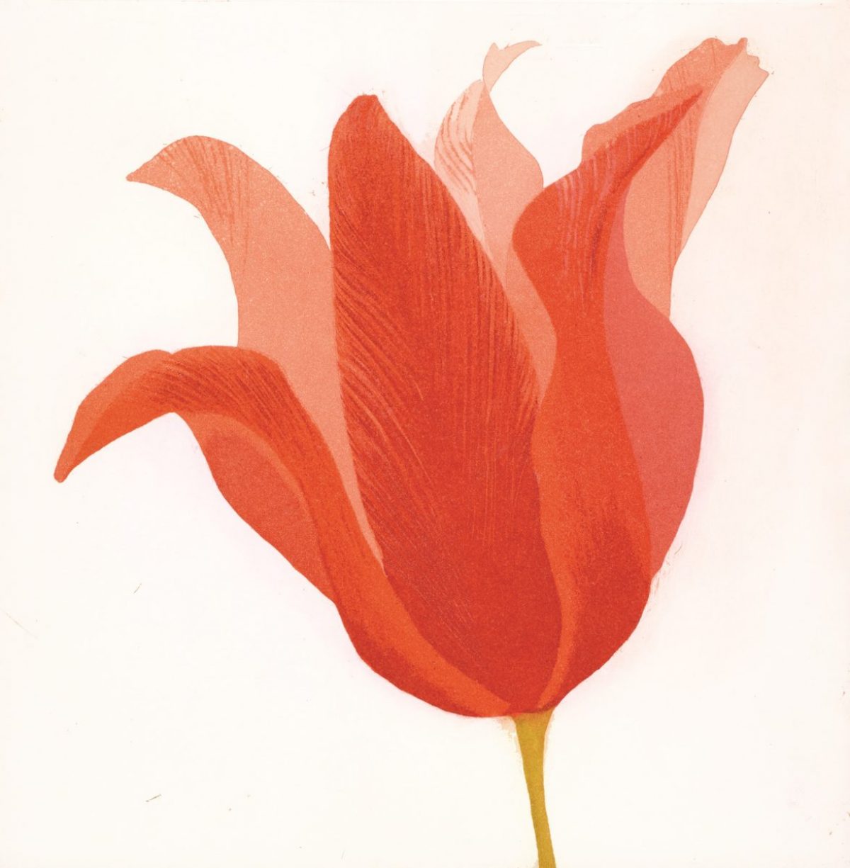 Cuffe, Grainne – Graphic Studio Gallery