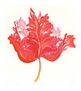 Cuffe, Grainne – Graphic Studio Gallery