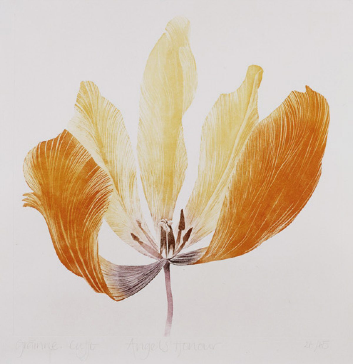 Cuffe, Grainne – Graphic Studio Gallery
