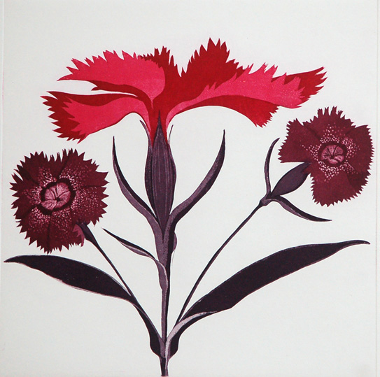 Grainne Cuffe, Dianthus III – Graphic Studio Gallery