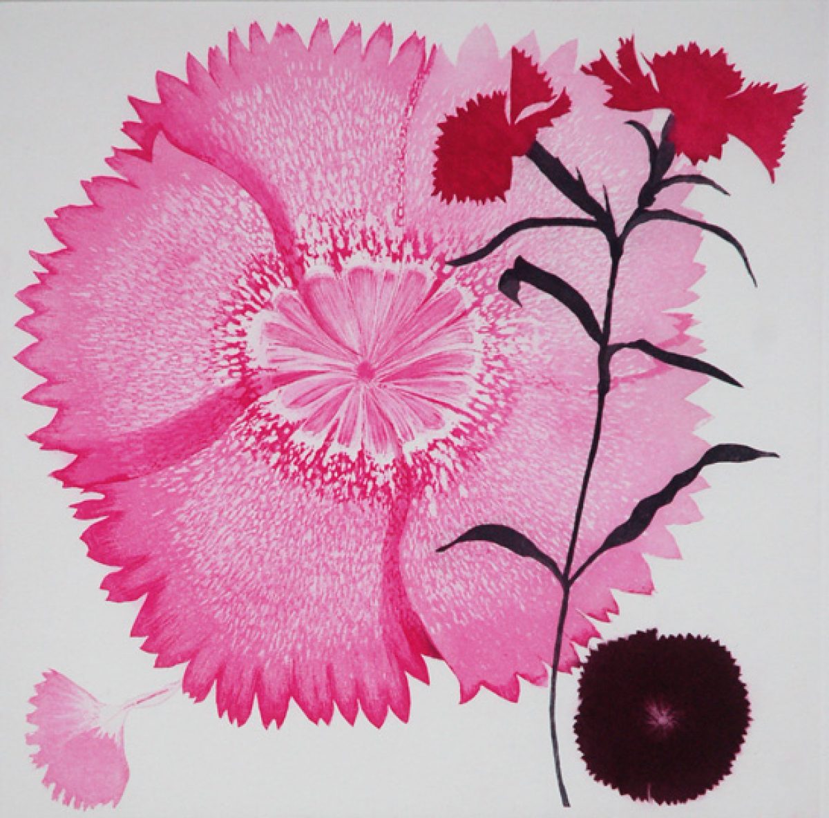 Cuffe, Grainne – Graphic Studio Gallery