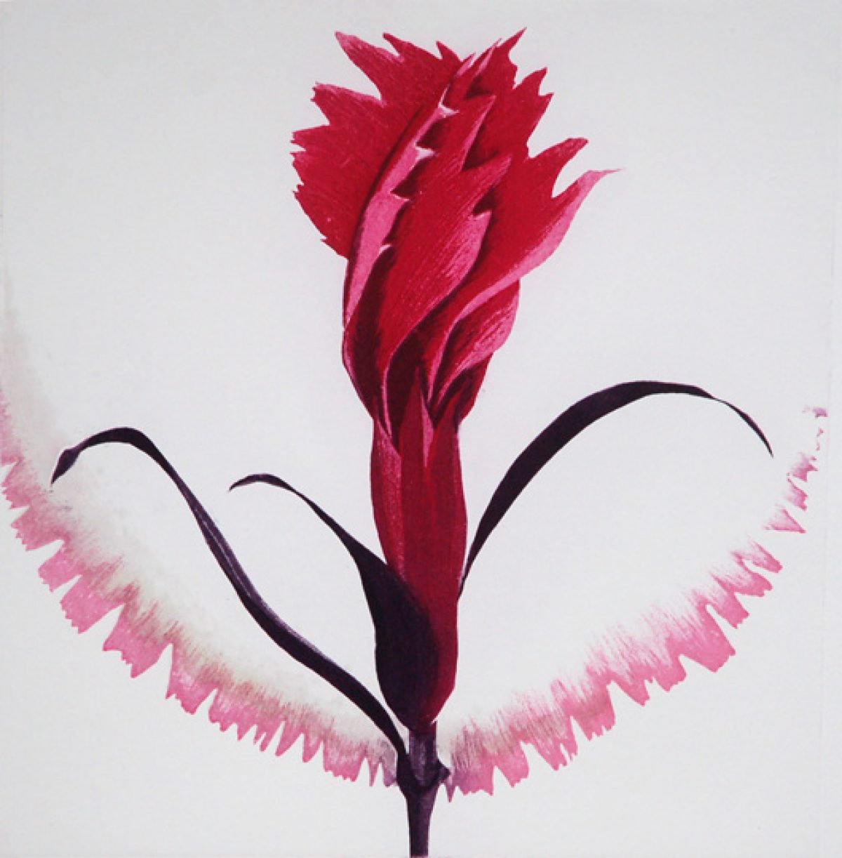 Grainne Cuffe, Dianthus V – Graphic Studio Gallery