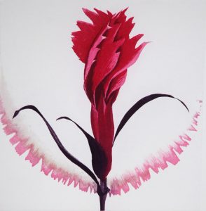 Grainne Cuffe, Dianthus V – Graphic Studio Gallery