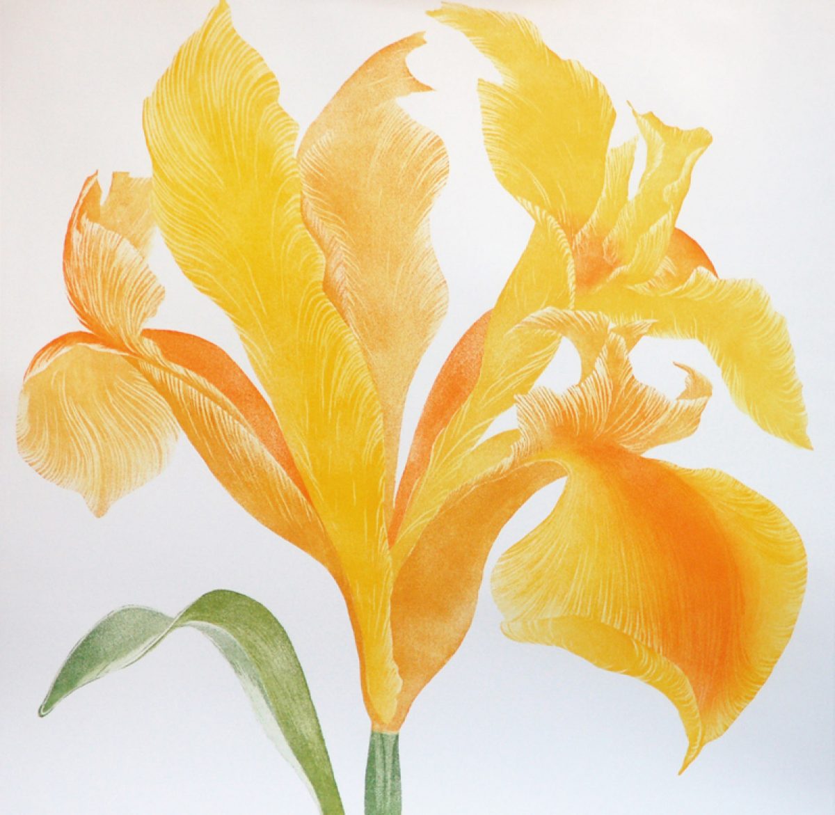 Grainne Cuffe, Herald of Light – Graphic Studio Gallery