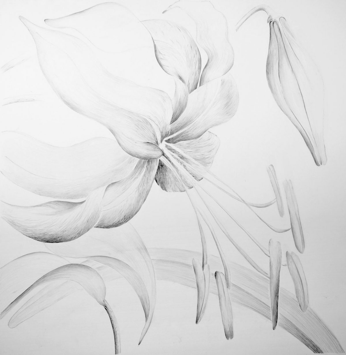 Cuffe, Grainne – Graphic Studio Gallery