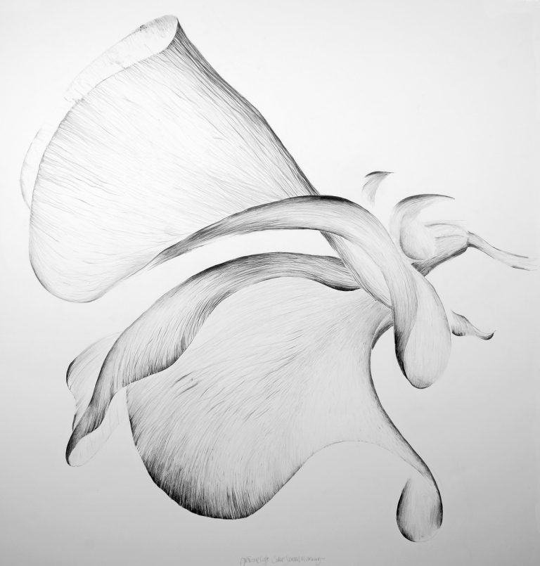Grainne Cuffe, Sweet Scented III – Graphic Studio Gallery