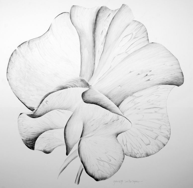 Cuffe, Grainne – Graphic Studio Gallery