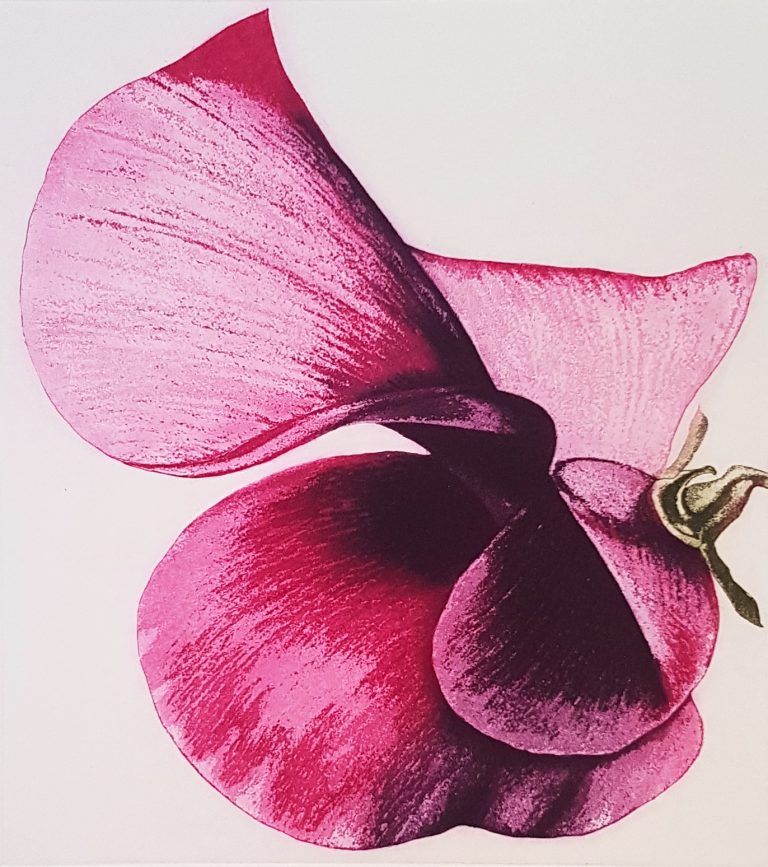 Cuffe, Grainne – Graphic Studio Gallery