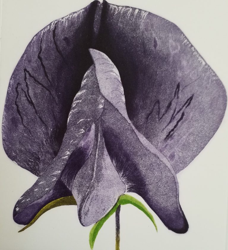 Cuffe, Grainne – Graphic Studio Gallery