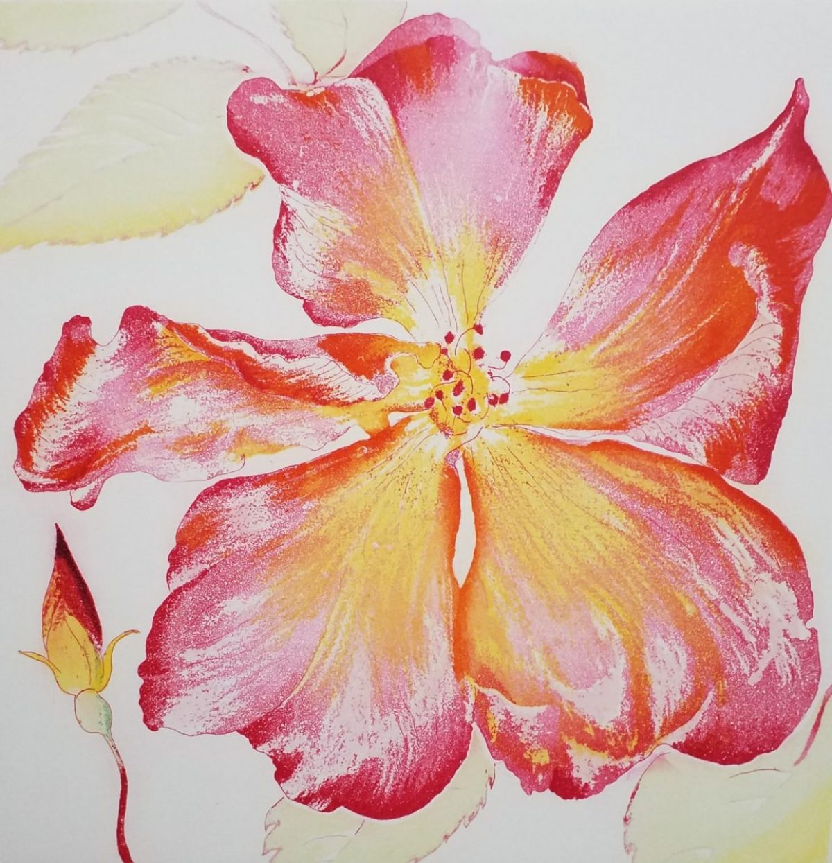 Cuffe, Grainne – Graphic Studio Gallery