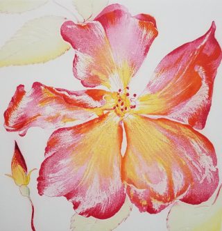 Cuffe, Grainne – Graphic Studio Gallery