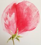 Cuffe, Grainne – Graphic Studio Gallery