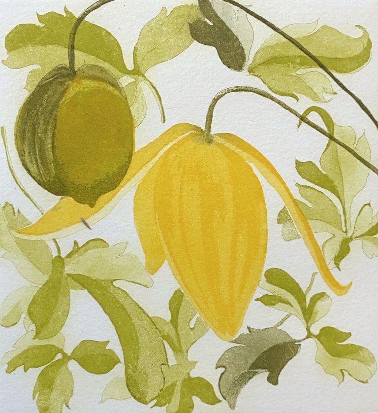 Cuffe, Grainne – Graphic Studio Gallery
