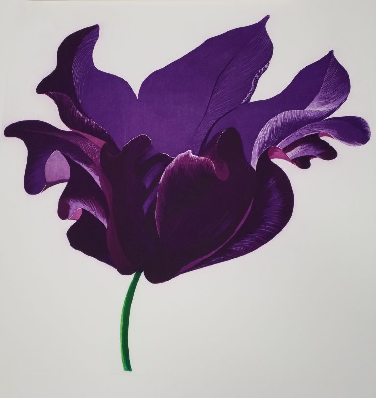 Cuffe, Grainne – Graphic Studio Gallery