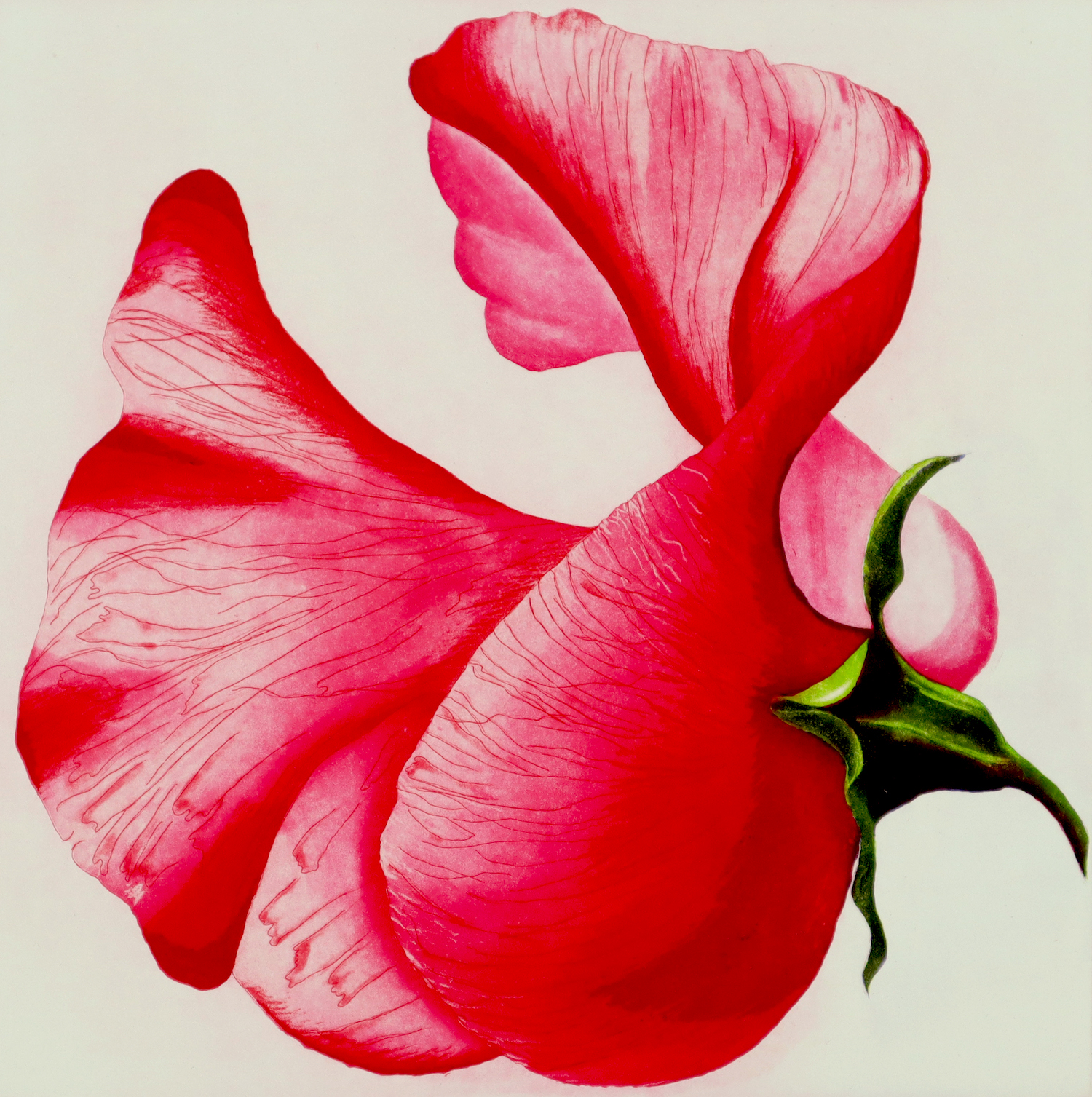Cuffe, Grainne – Graphic Studio Gallery