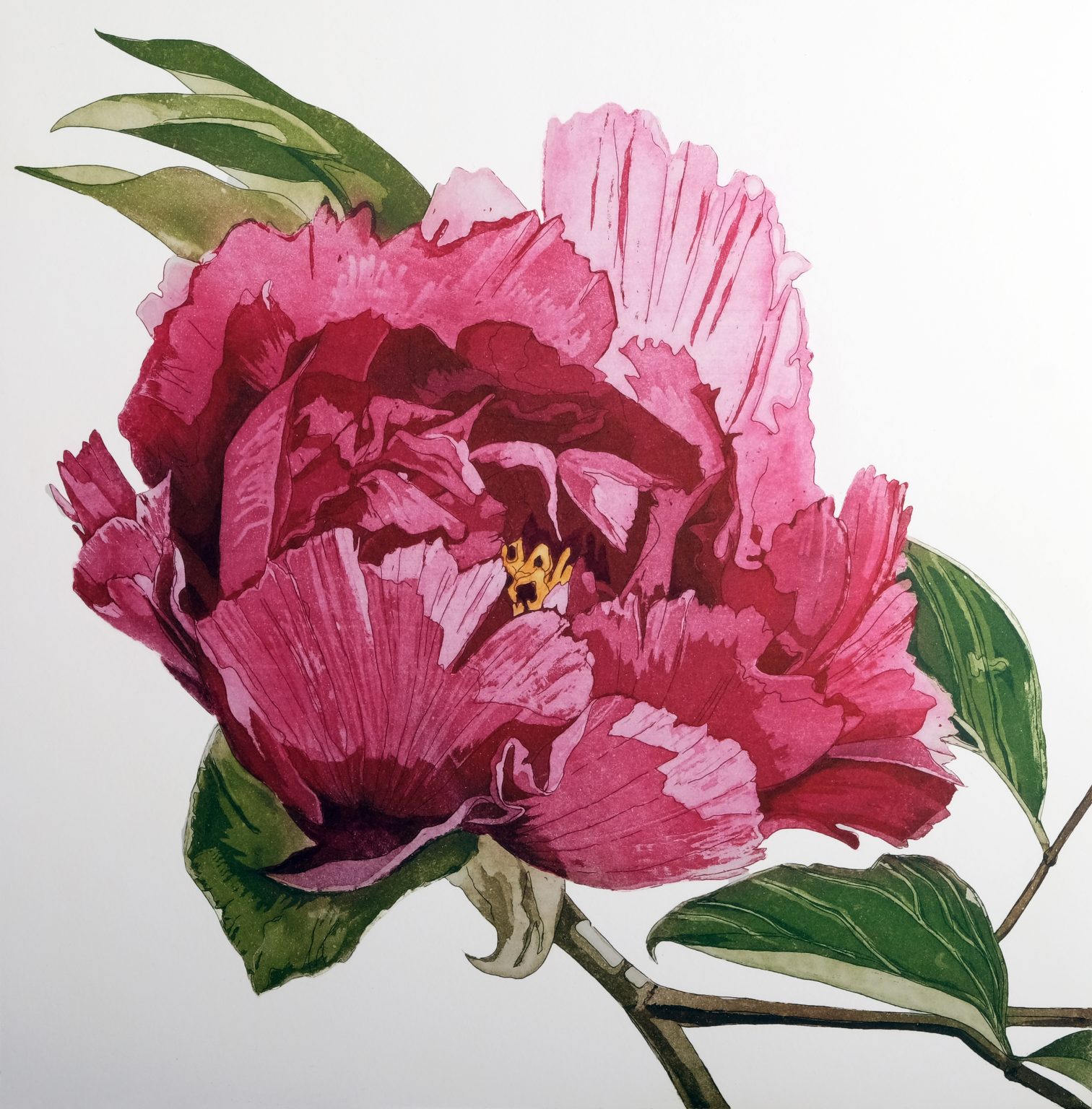 Lynch Morrin, Nicola – Graphic Studio Gallery